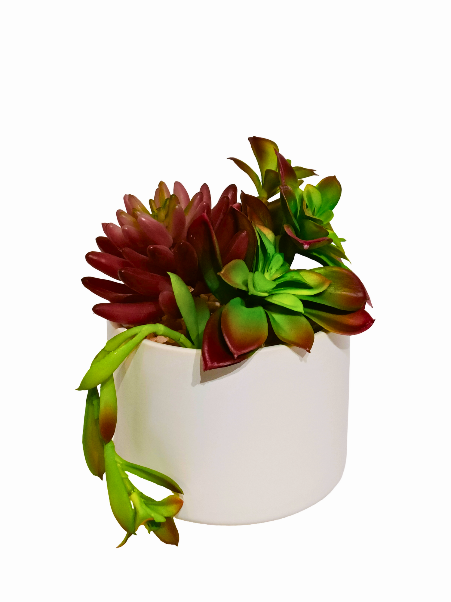 Multiple Agave With Mini Pebbles - Table Size (Faux) | Ferns & Philo