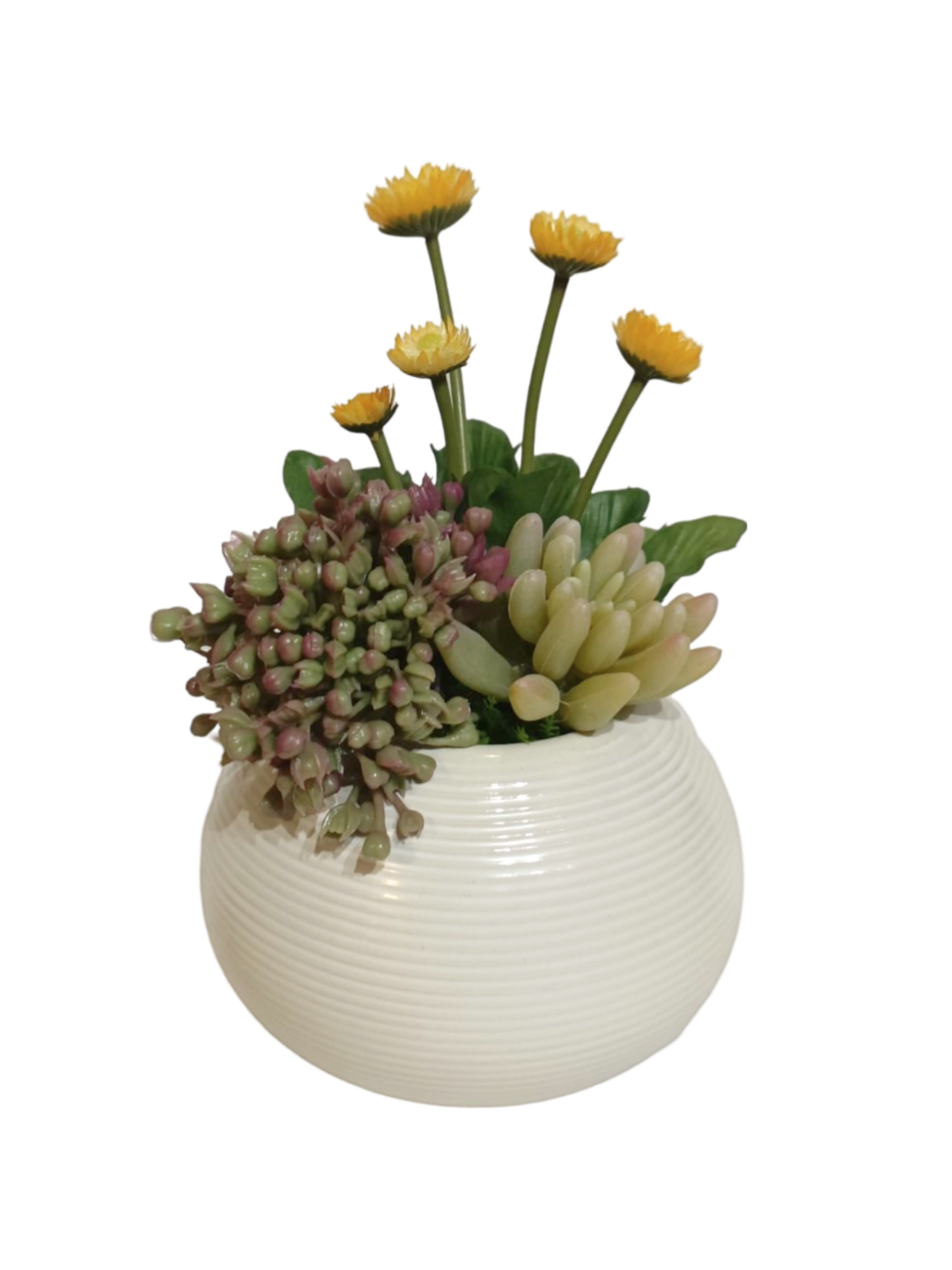 Multiple Agave With Flower Modern Pot (Design 2) - Table Size (Faux ...
