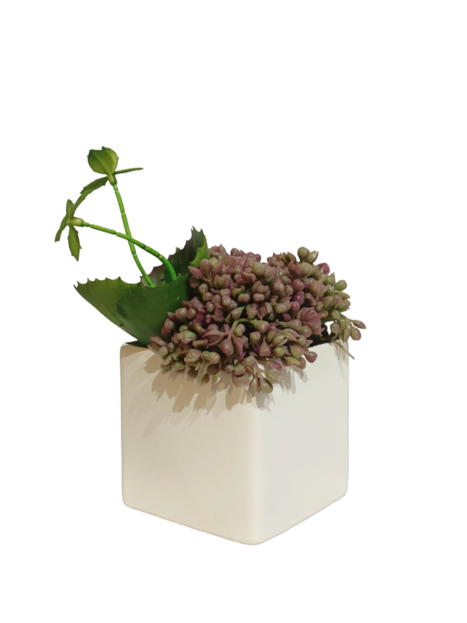 Multiple Agave With Leaves White Pot (Design 1) - Table Size (Faux ...